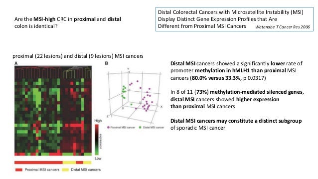 Braf lynch syndrome mmr right and left colon cancer