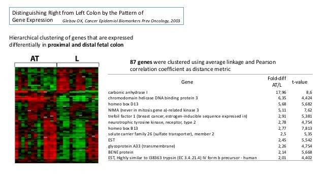 Braf lynch syndrome mmr right and left colon cancer