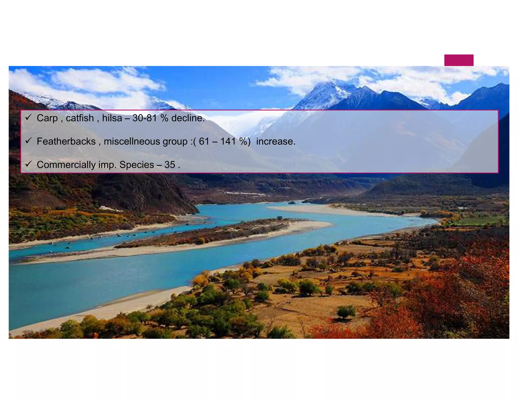 Brahaputra river system | PDF