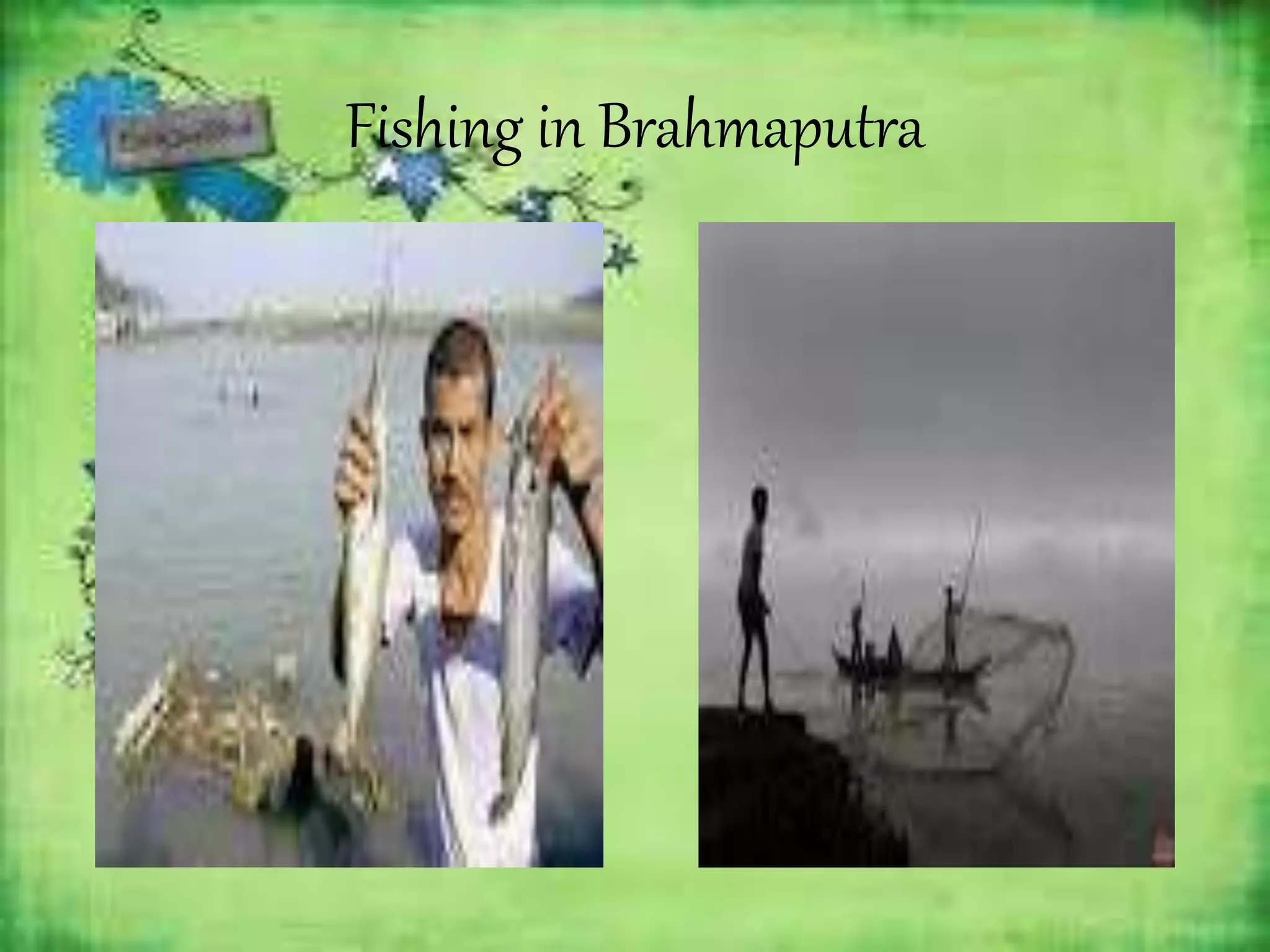Brahmaputra | PPT