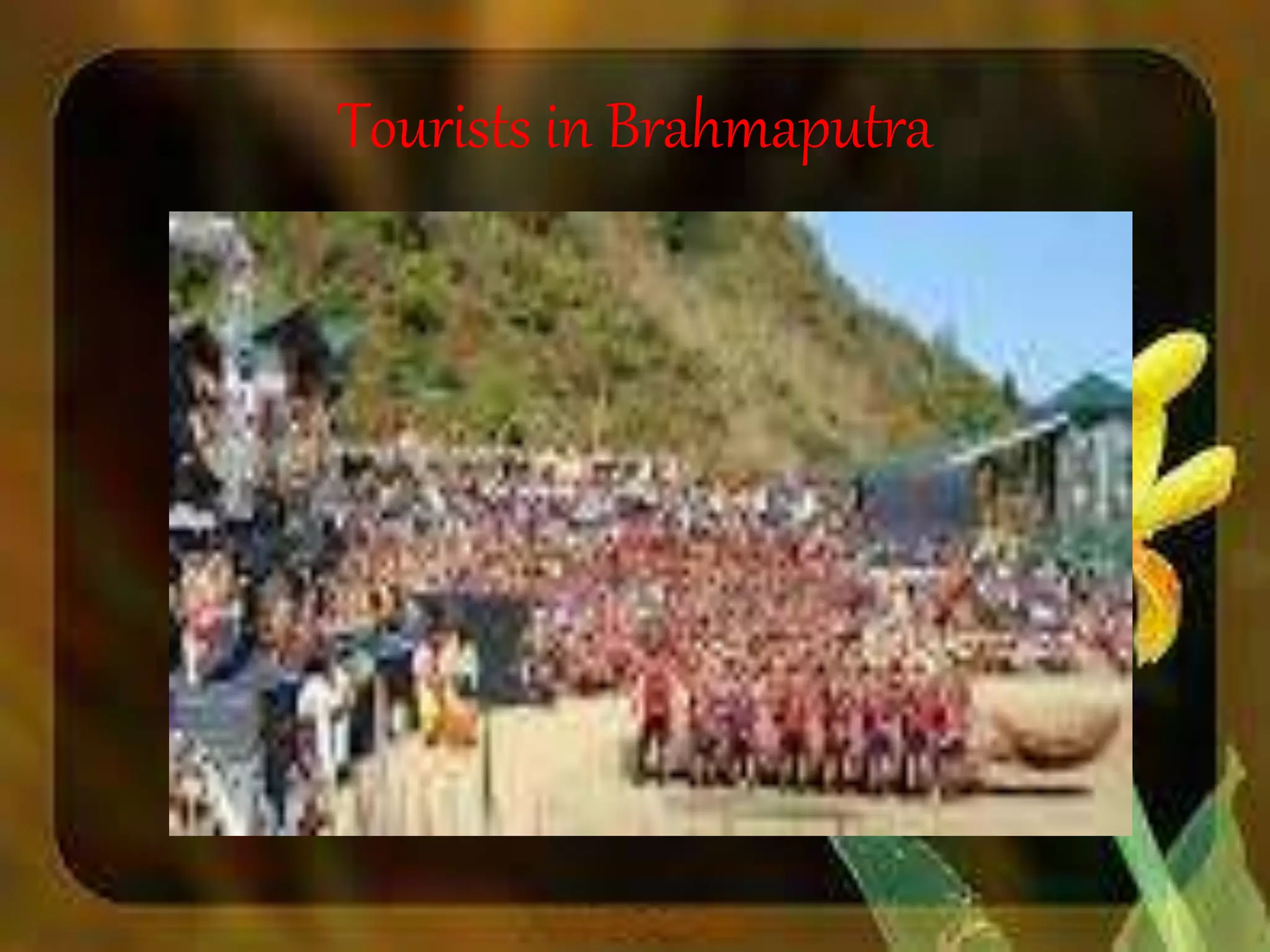 Brahmaputra | PPT