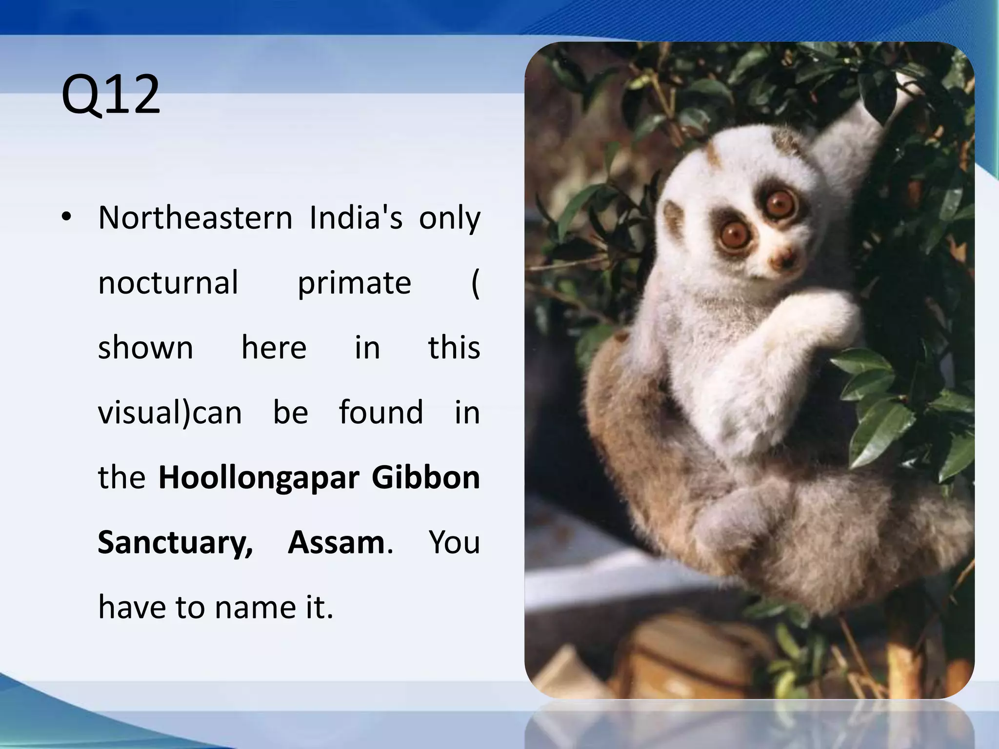 Brahmaputra quiz | PPT