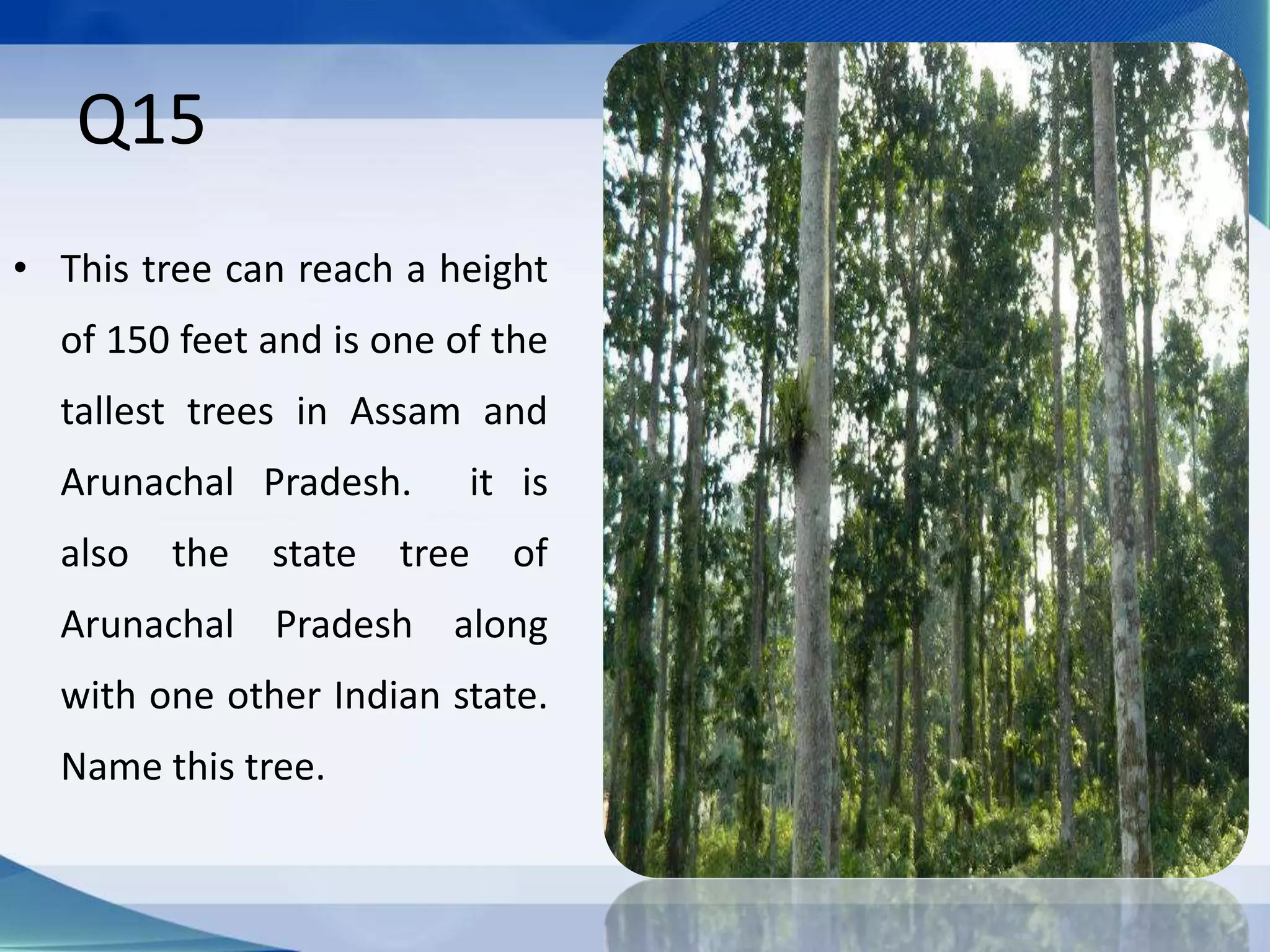 Brahmaputra quiz | PPT