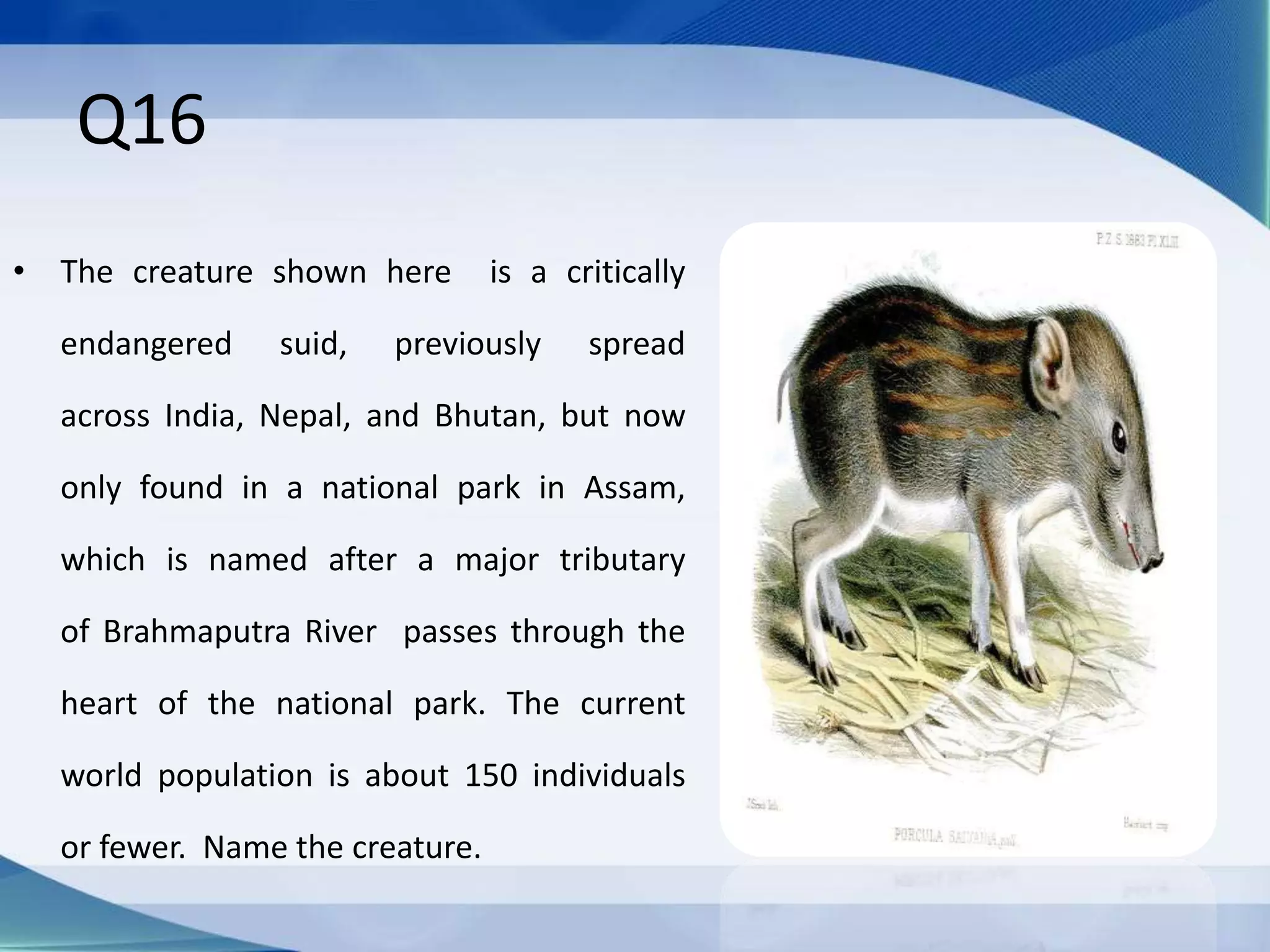 Brahmaputra quiz | PPT