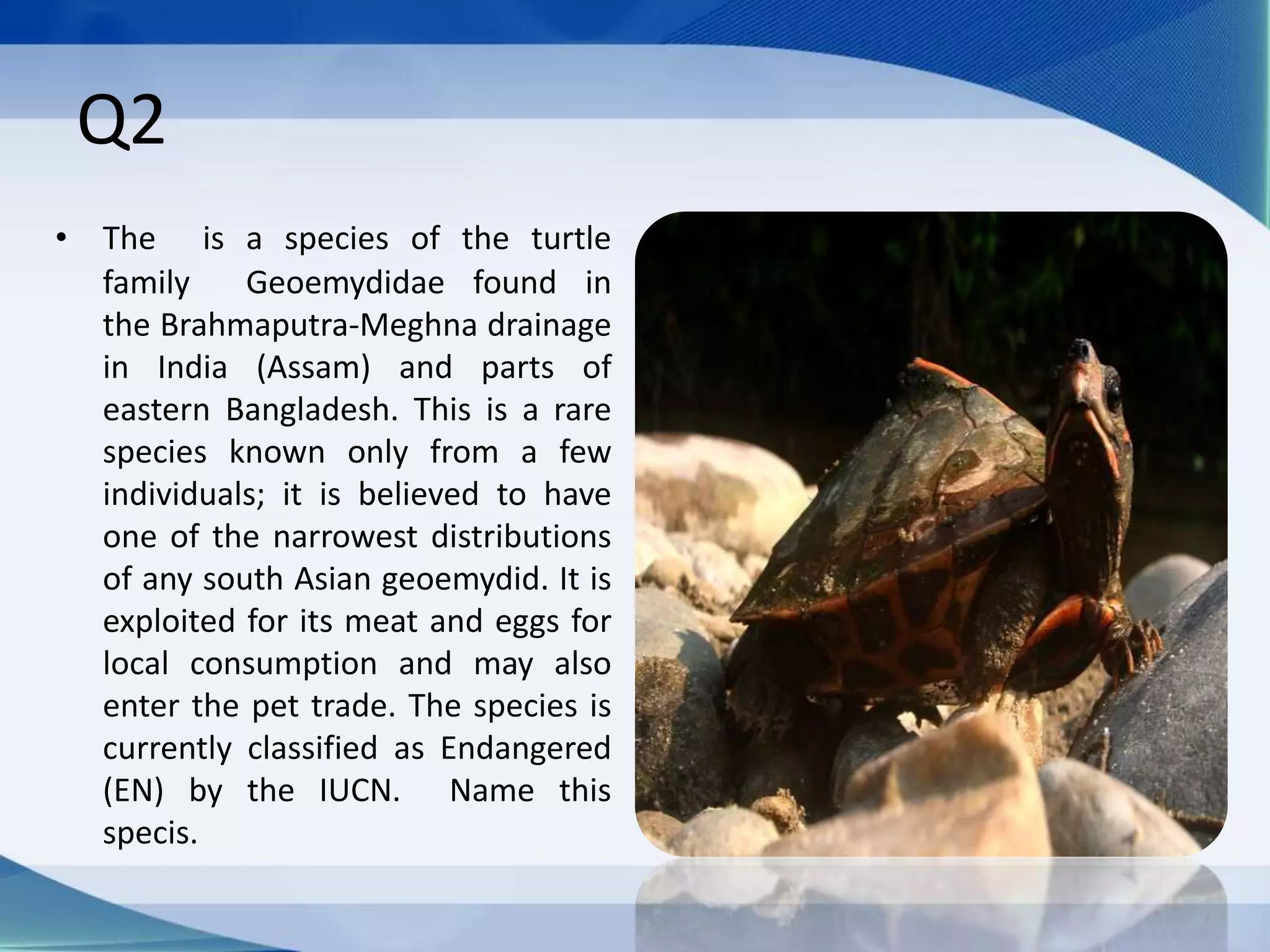 Brahmaputra quiz | PPT