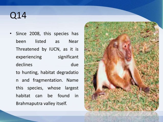 Brahmaputra quiz | PPT