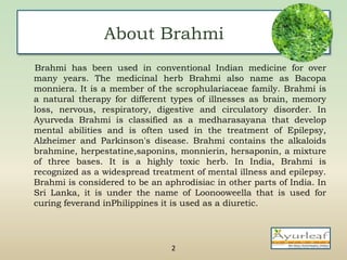 Brahmi herb | PPTX