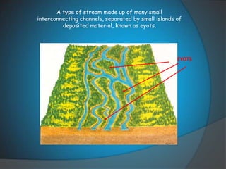 Braided Stream Diagram