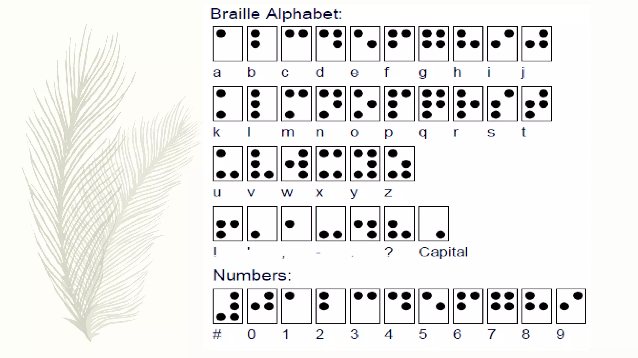 Braille System | PPTX