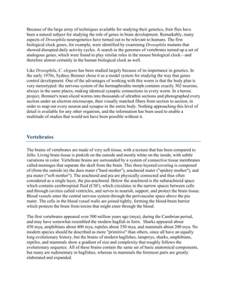 Brain | PDF