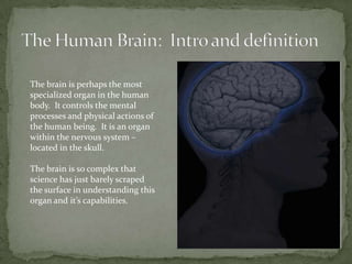 Brain | PPTX | Brain and Nervous System Disorders | Diseases and Conditions