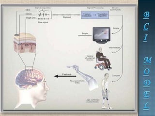 Brain Computer Interface.ppt