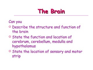 The Brain Powerpoint Presentation | PPT