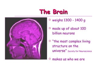The Brain Powerpoint Presentation | PPT