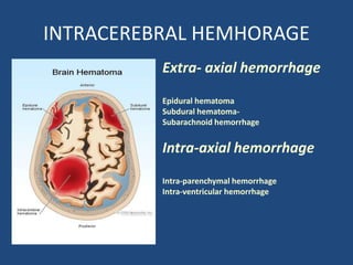 Brain | PPTX