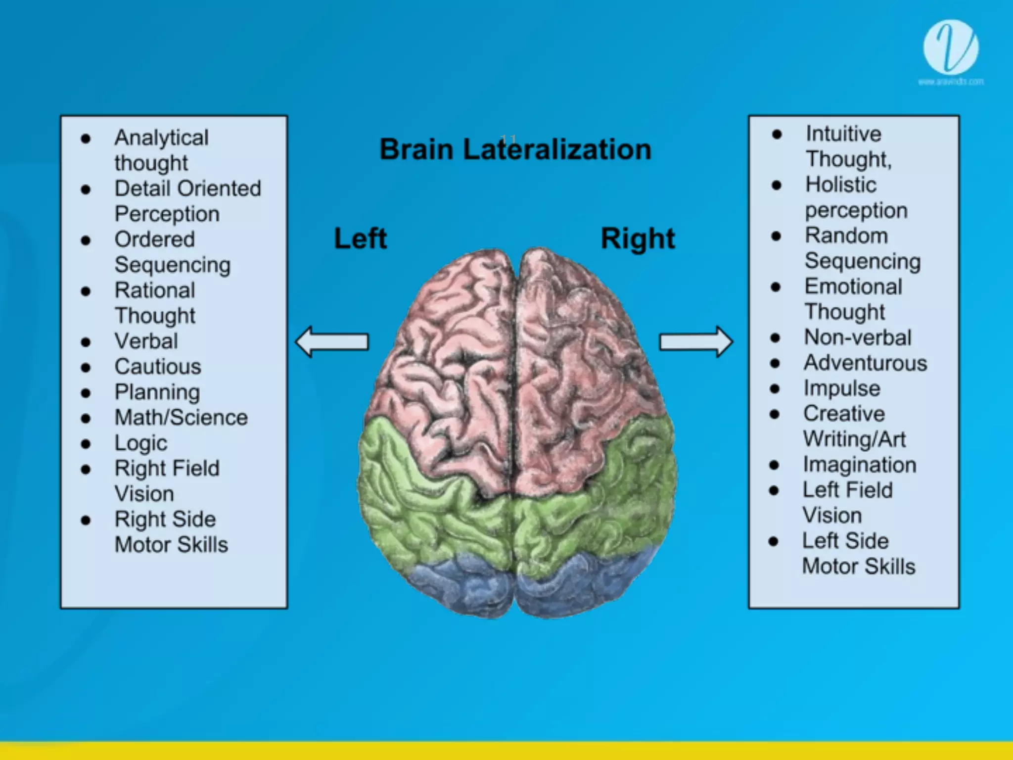 Left Vs Right Brain | PDF