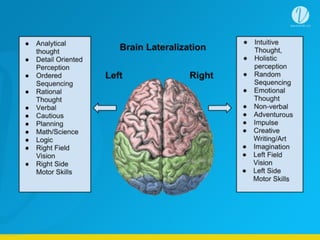 Left And Right Brain Functions