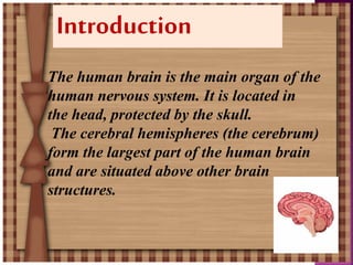 Brain | PPTX | Brain and Nervous System Disorders | Diseases and Conditions