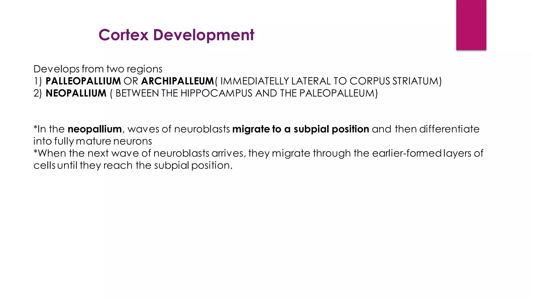 Brain- THE ORIGIN..ANATOMY | PDF