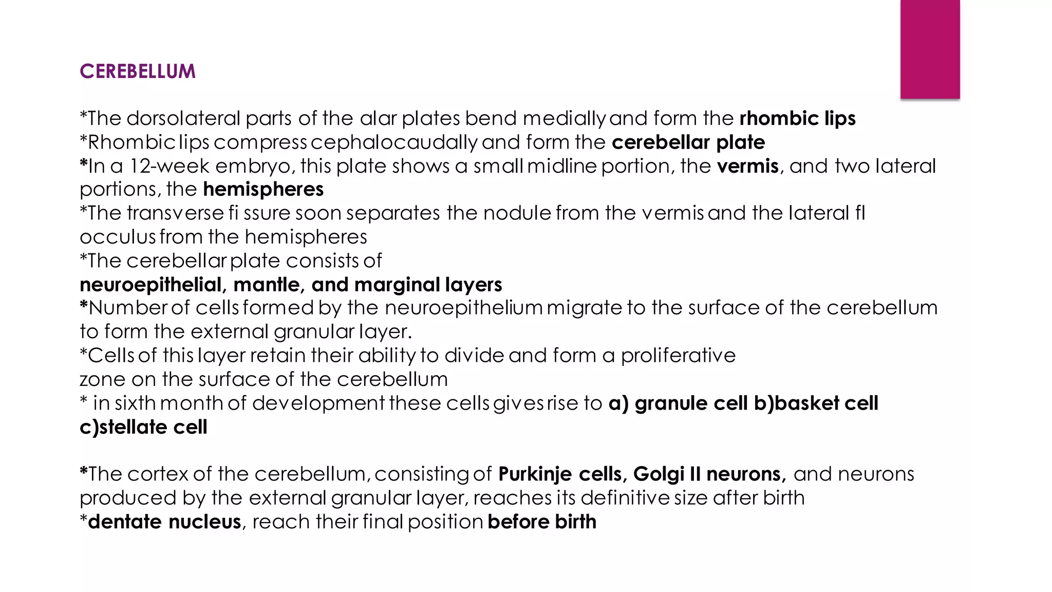 Brain- THE ORIGIN..ANATOMY | PDF