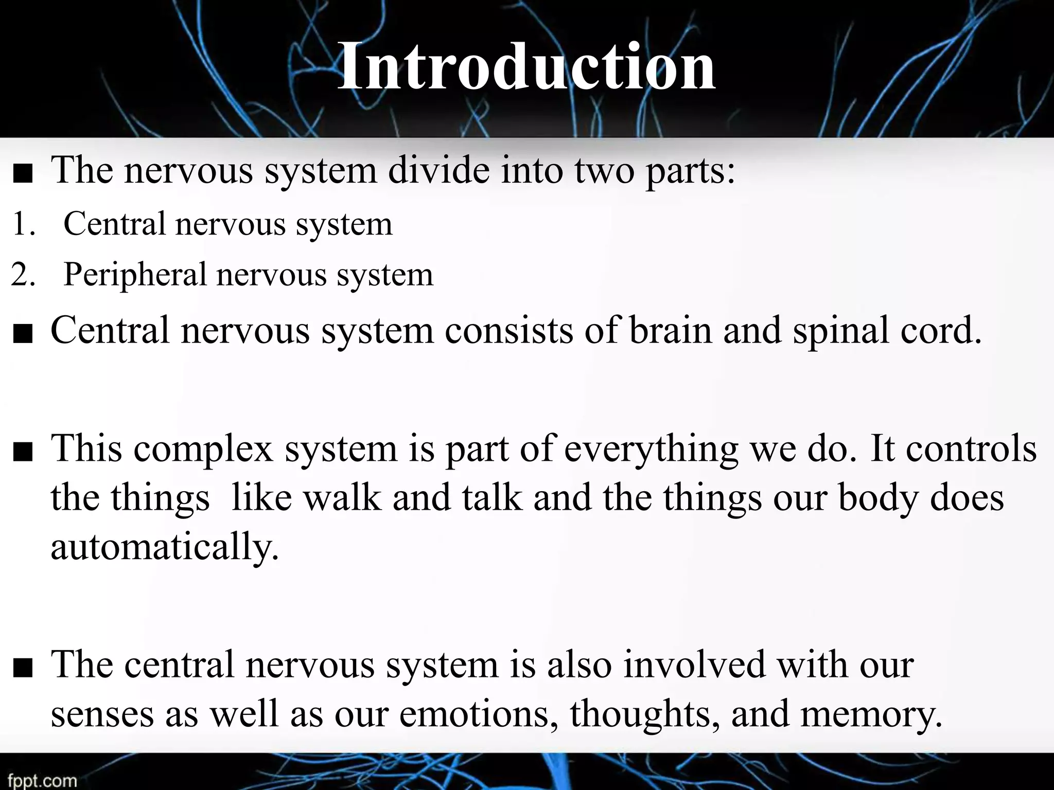 Spinal Cord and brain | PPT