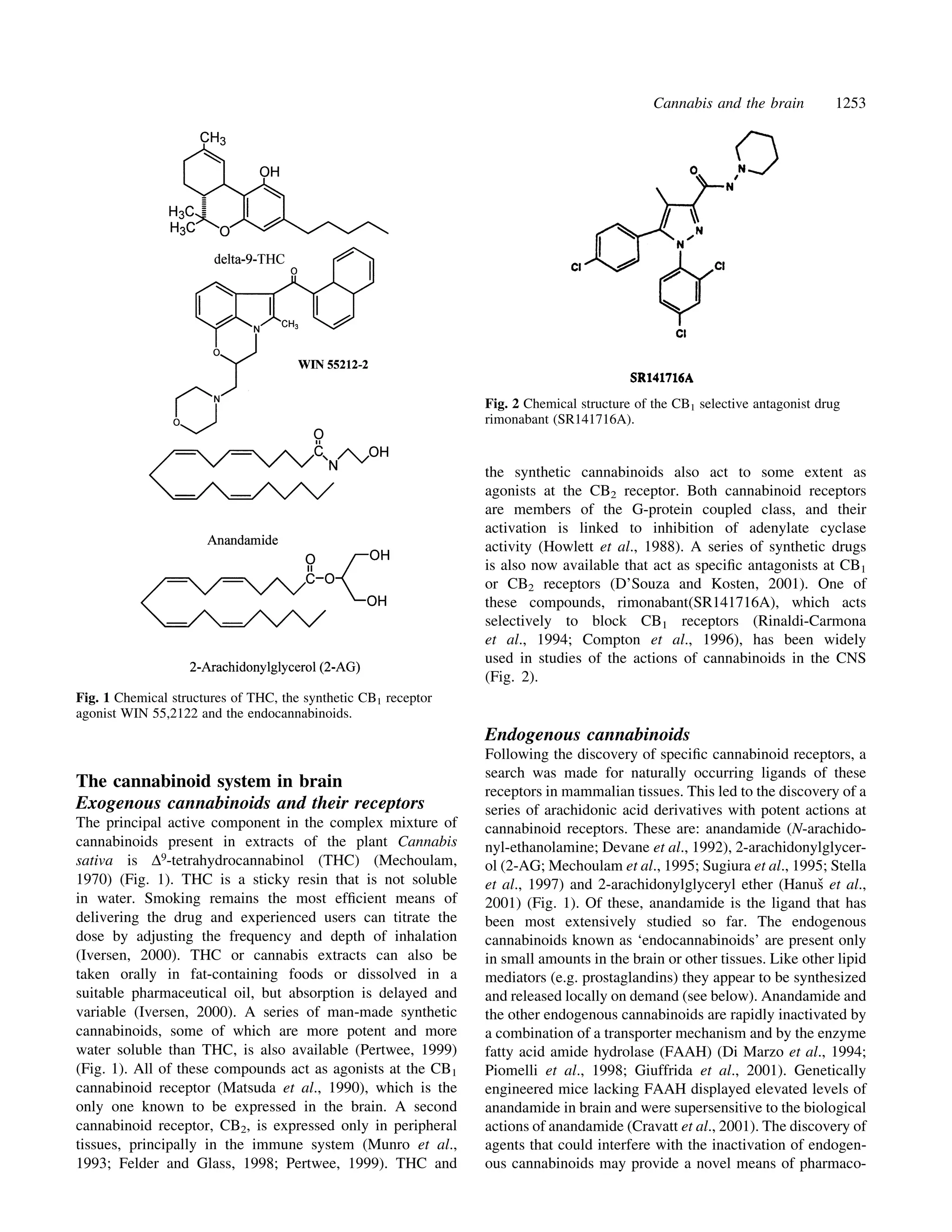 Brain 2003-iversen-1252-70 | PDF