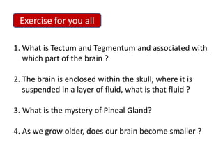 Brain- Learning Points | PPTX