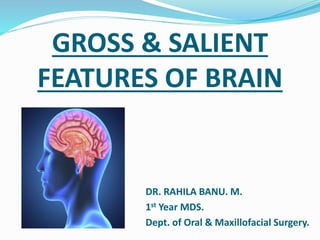 Gross and salient features of Brain | PPTX