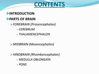 Gross and salient features of Brain | PPTX