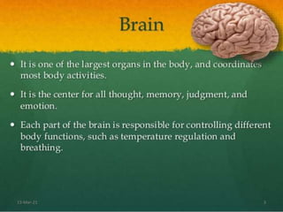Brain structure and its function | PPT