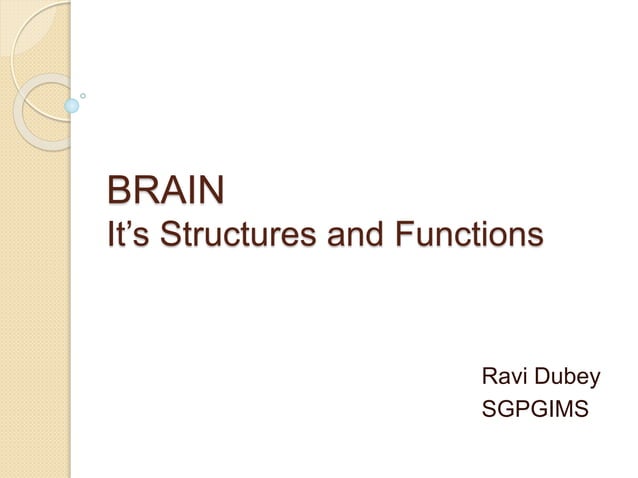 Brain | PPTX | Brain and Nervous System Disorders | Diseases and Conditions