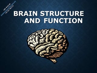 Brain Structure and Function | PPT | Brain and Nervous System Disorders ...