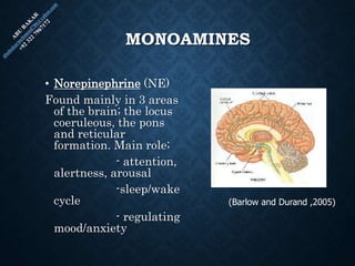 Brain Structure and Function | PPT | Brain and Nervous System Disorders ...