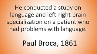 brain.pptx | Educational Assessment | Education