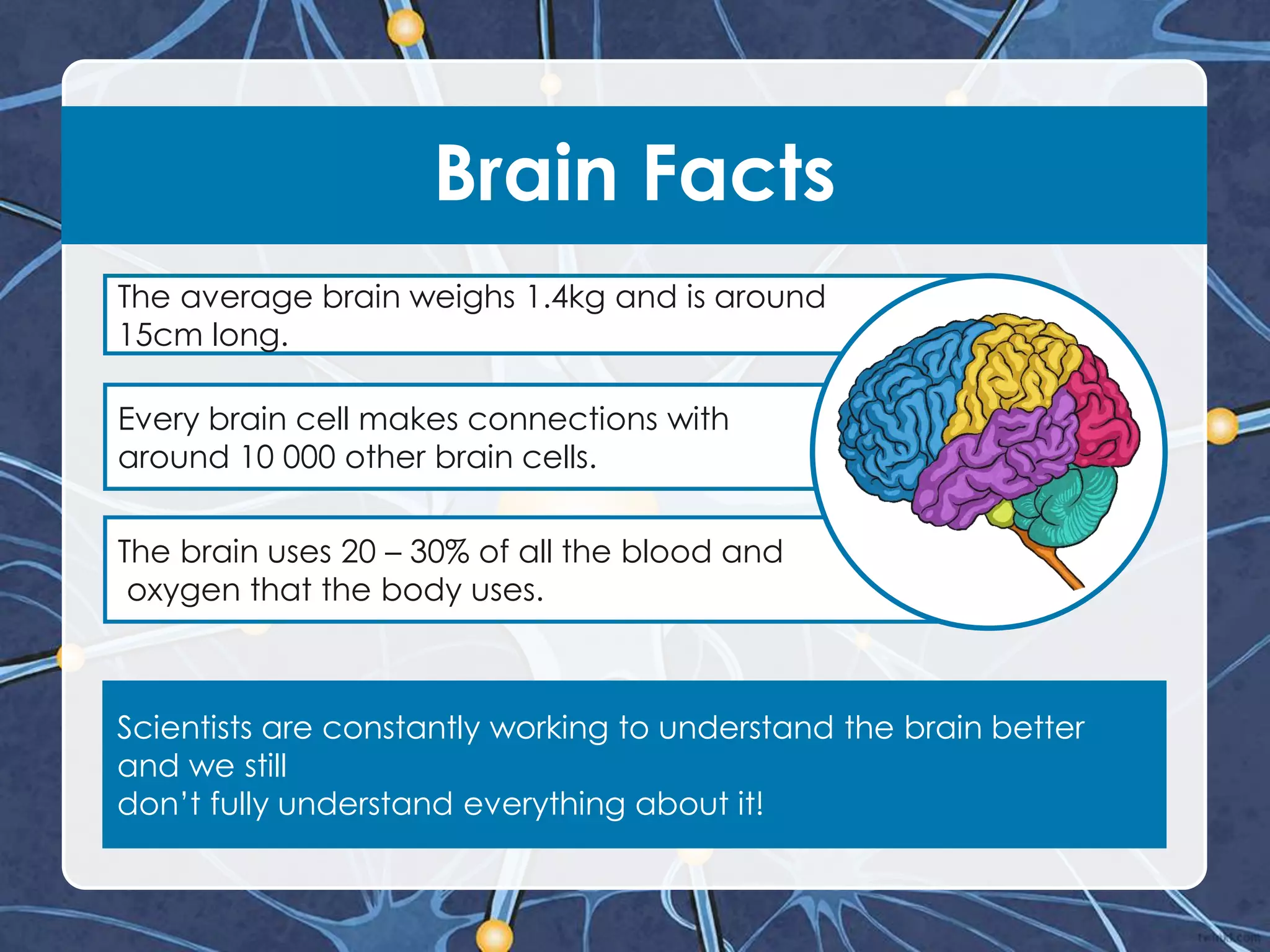 BRAIN.pptx