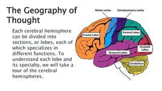 PARTS OF THE BRAIN OF HUMAN AND ITS FUNCTION.pptx