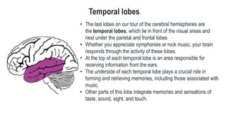 PARTS OF THE BRAIN OF HUMAN AND ITS FUNCTION.pptx