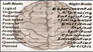 all about brain.....................pptx