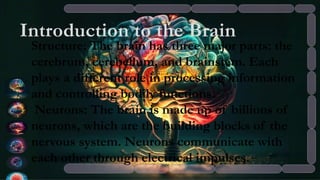 BRAIN.pptx gegqedqgdwqhgwqhgqwhgqhdqhqhdhqg | PPTX