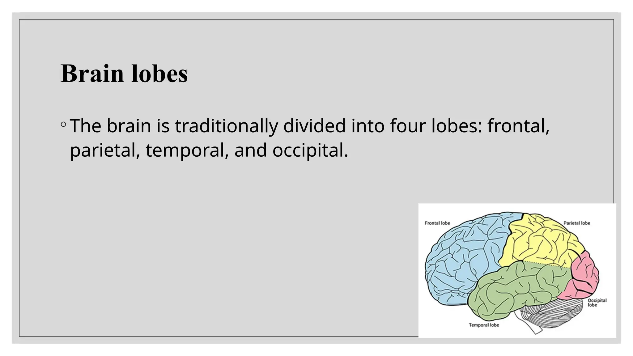 Psychological Disorders and Parts of the Brain.pptx