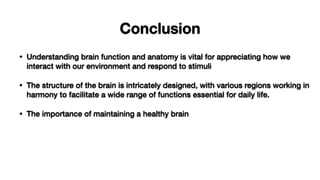 Brain anatomy and physiological function | PDF