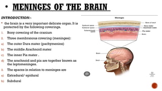 Brain anatomy presentation by tannu prajapati | PPT