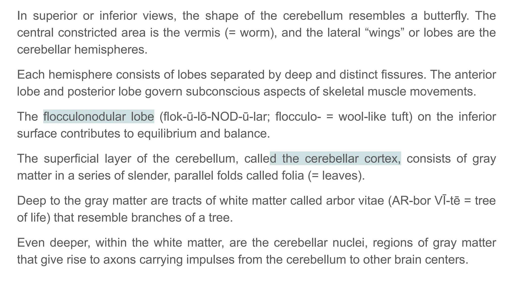 Human BRAIN (anatomy and Physiology) .pptx