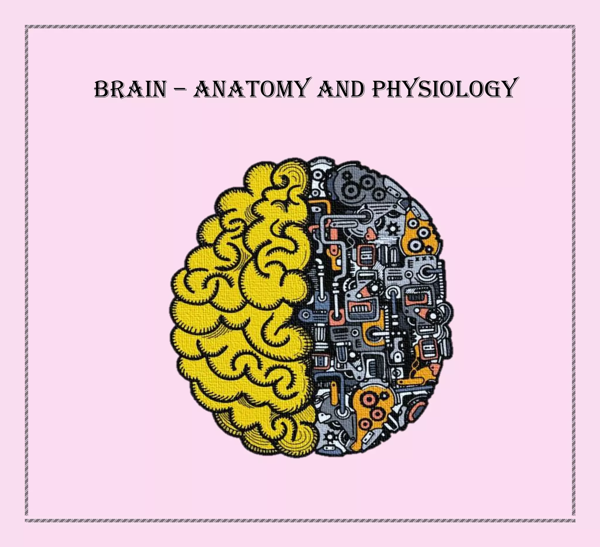 Brain anatomy and physiology | PDF | Brain and Nervous System Disorders ...