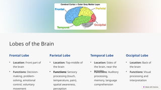 Brain-and-Cranial-Nerve-Functions (3).pptx