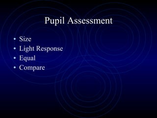 Brain And Craniofacial Trauma Brenda | PPT