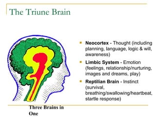 Brain and Its Functions- Part 1 | PPT