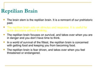 Brain and Its Functions- Part 1 | PPT