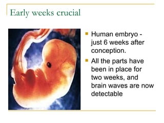 Brain and Its Functions- Part 1 | PPT