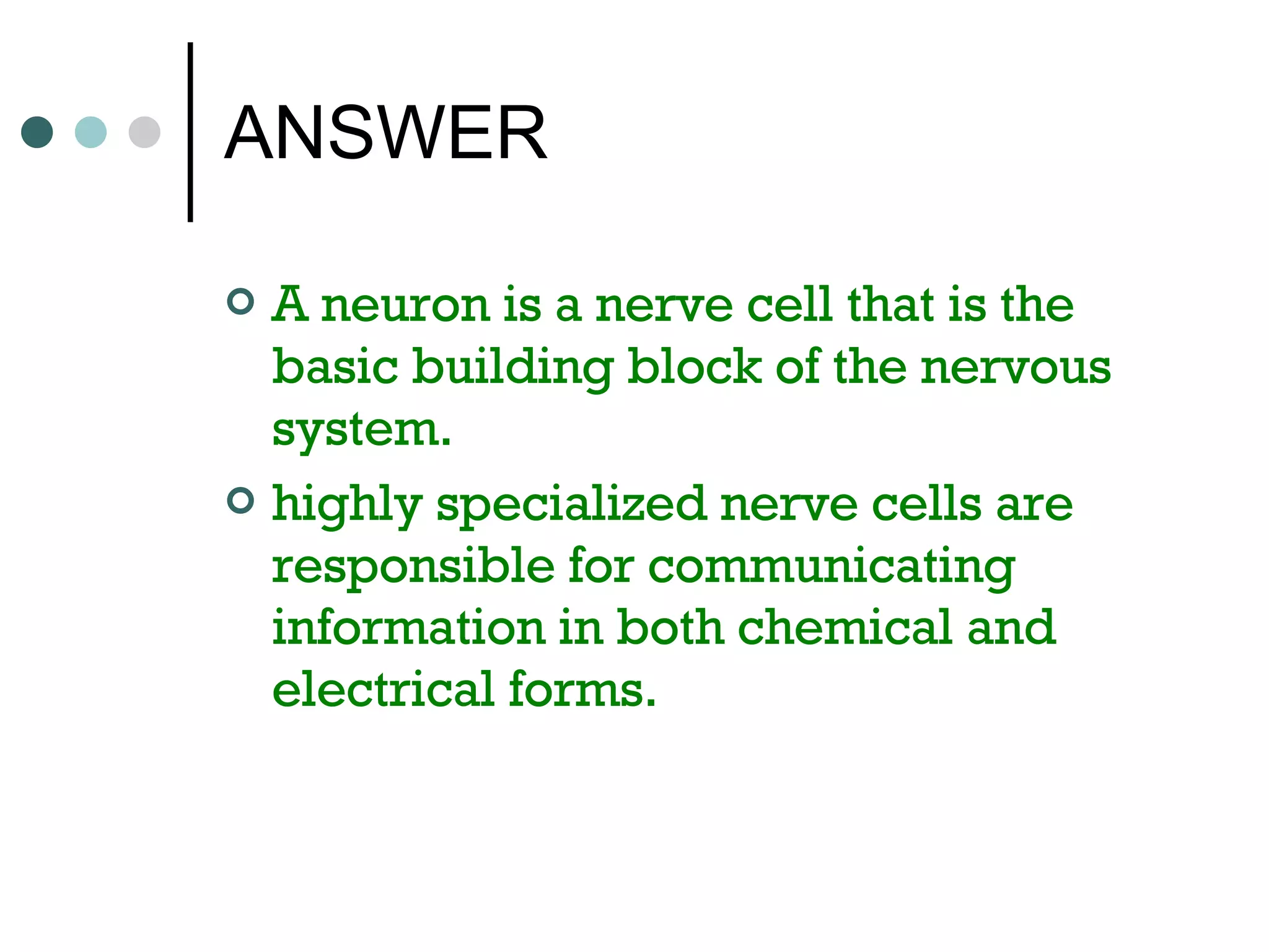 Brain And Nervous System | PPT